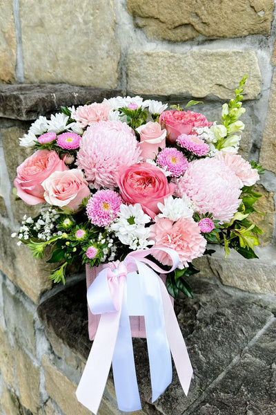 Azalea – Petals on the Plaza